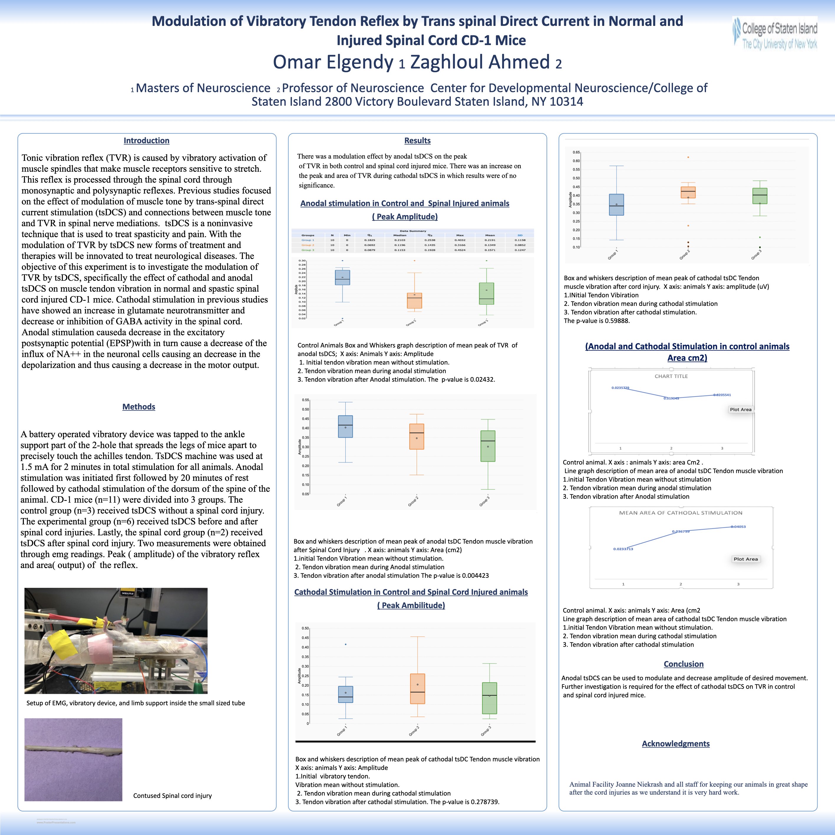 NYC Neuromodulation Online 2020
